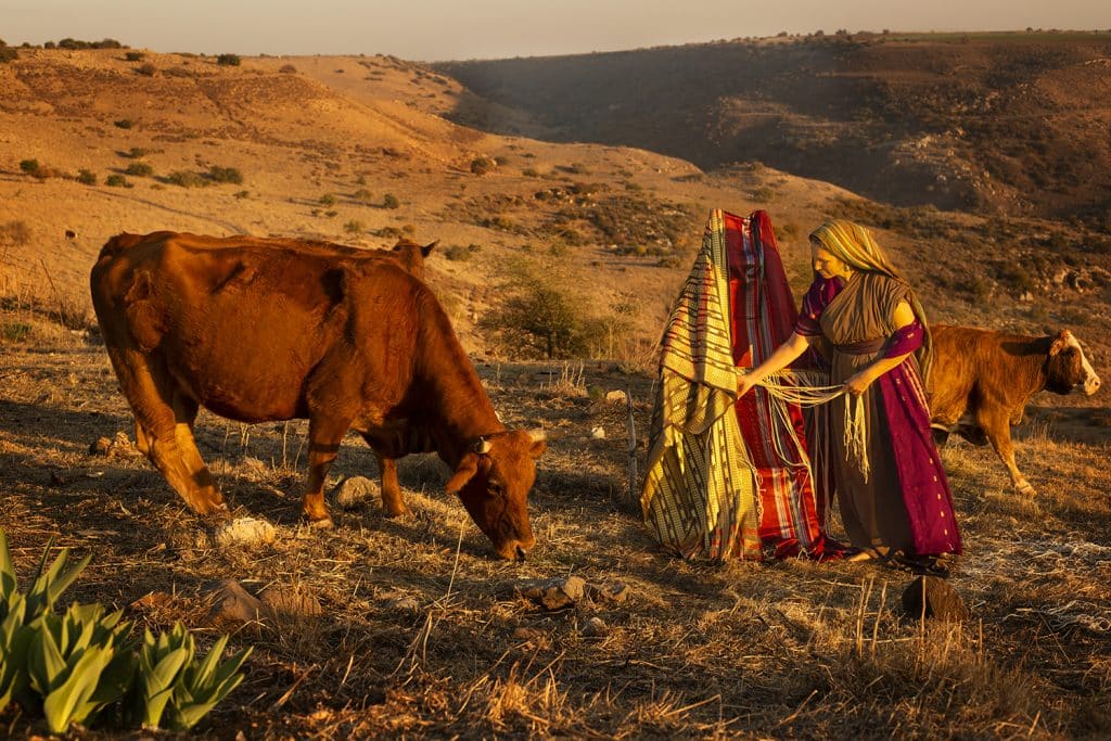 Nitzevet bat Adael King David's mother | Women Of The Bible | Dikla Laor